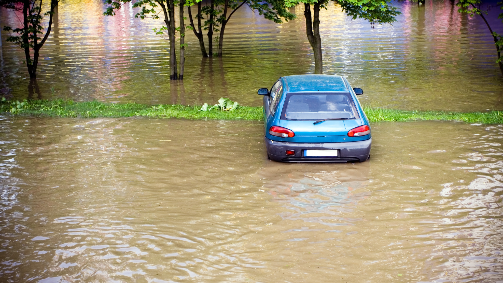 How Do You Remove Mold From Your Car's Interior?