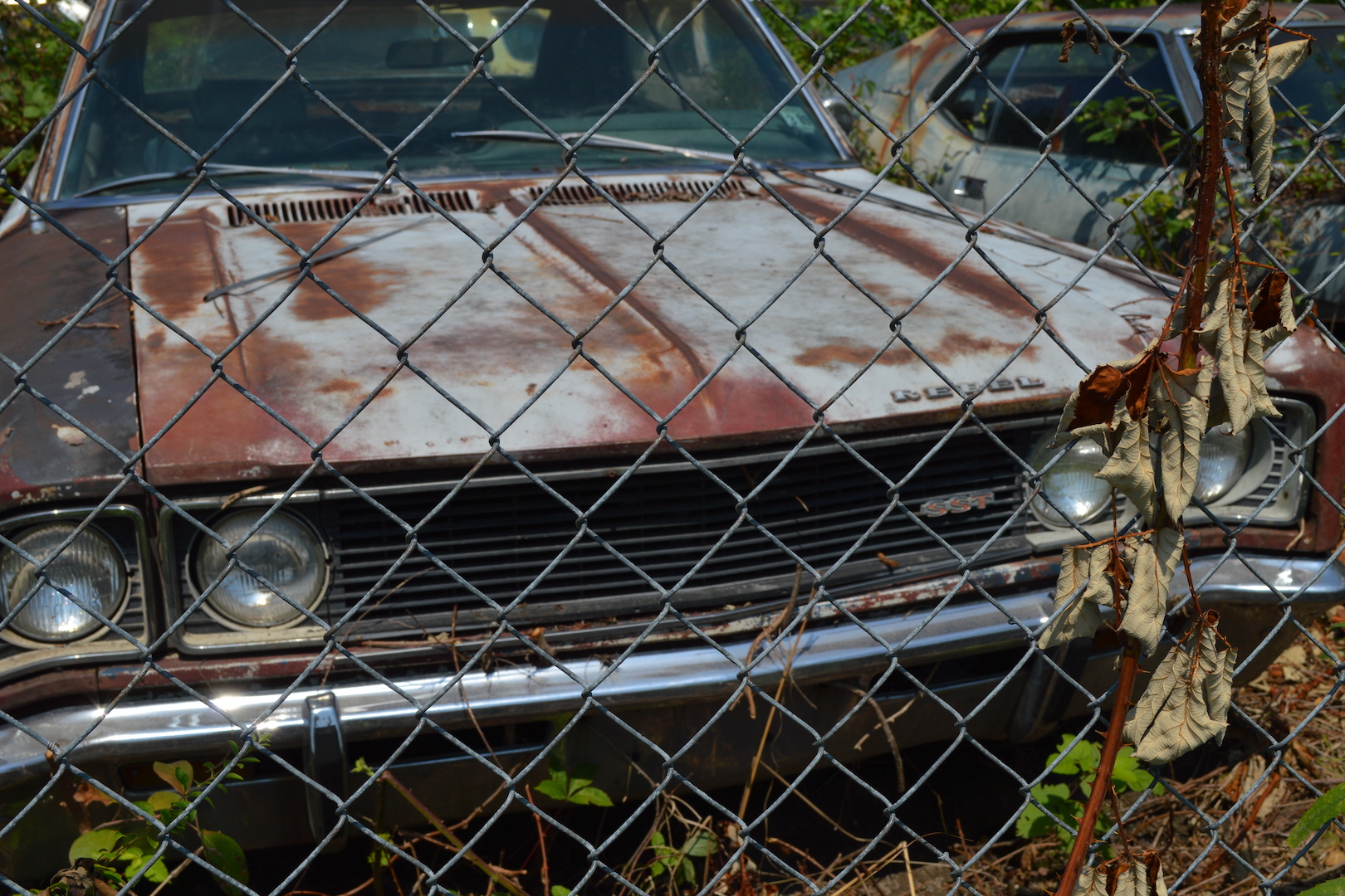 In the Ruins of America’s Last AMC Dealership, Business Is Booming Again