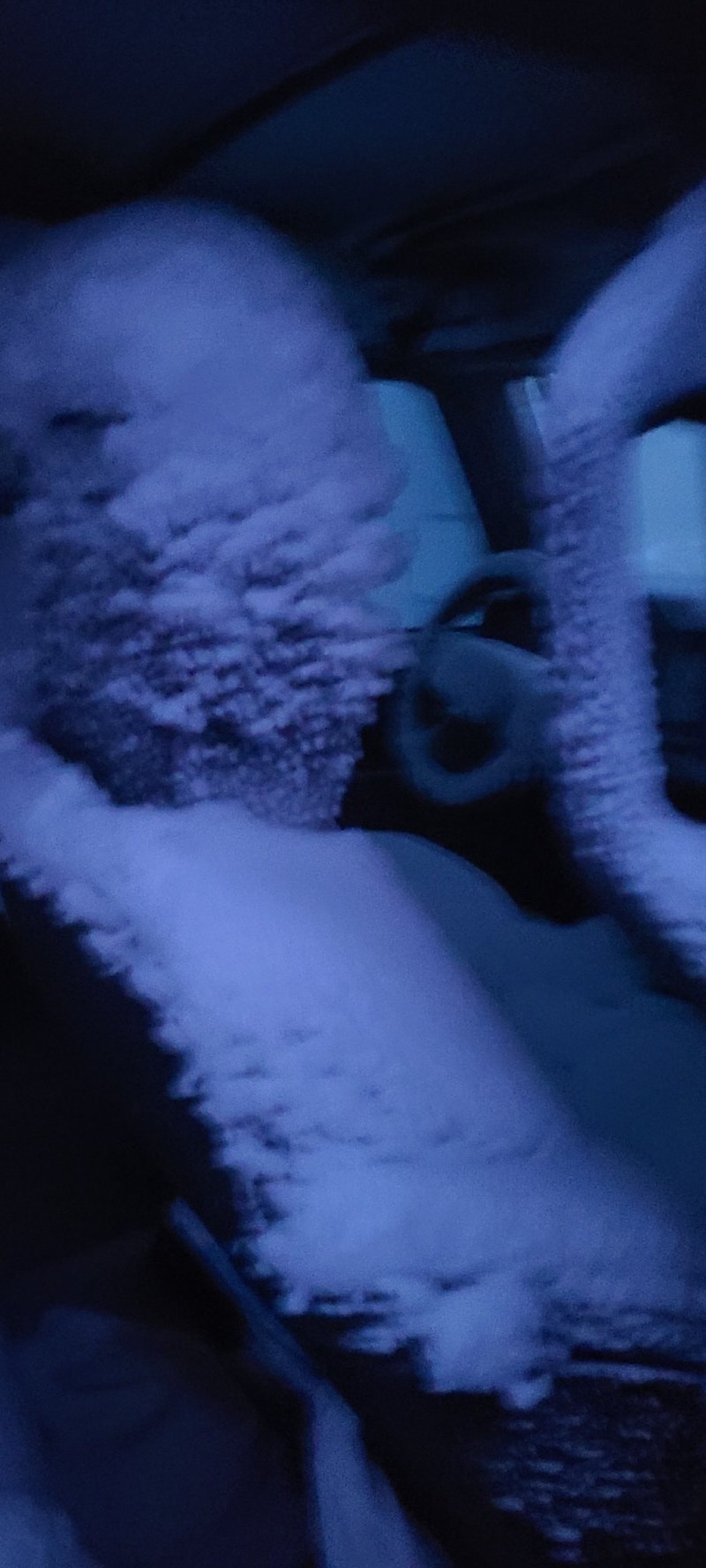 Ford Bronco Soft Top Lets in a Ton of Snow During Blizzard, Owner Says