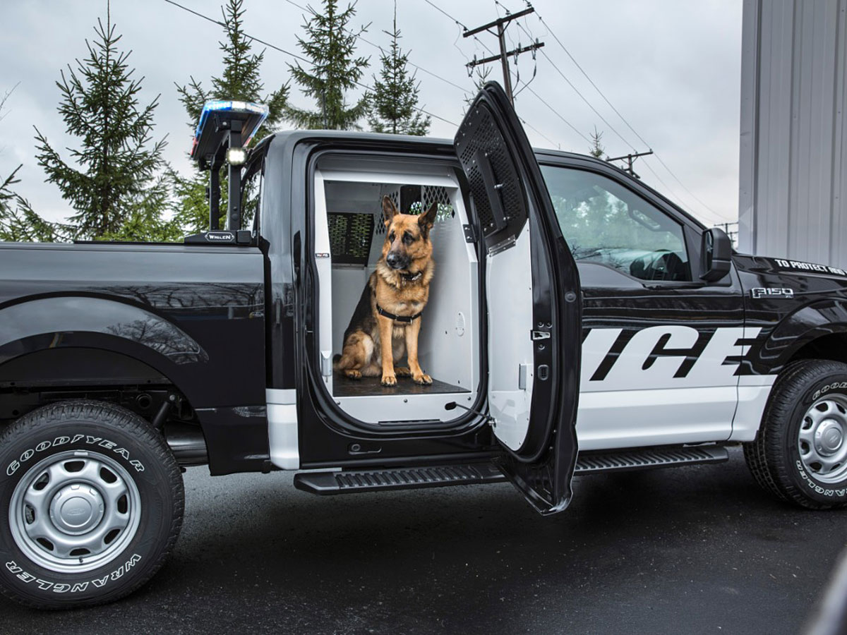 Ford's Newest F-150 Is a Badass Police Truck