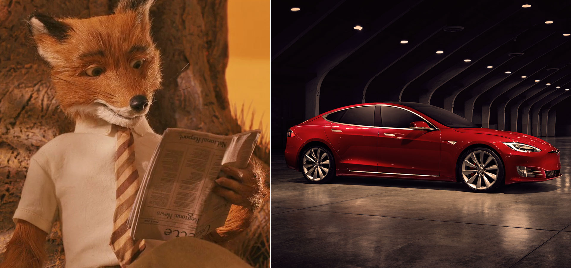 5 Animals the New Tesla Model S Resembles