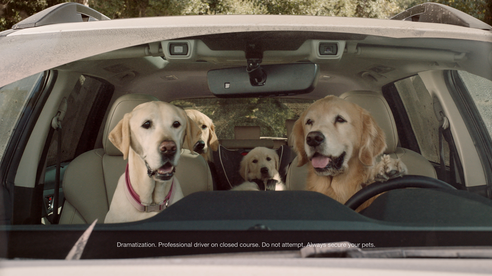 The "Barkleys" Deem Subaru Vehicles "Dog Tested. Dog Approved."