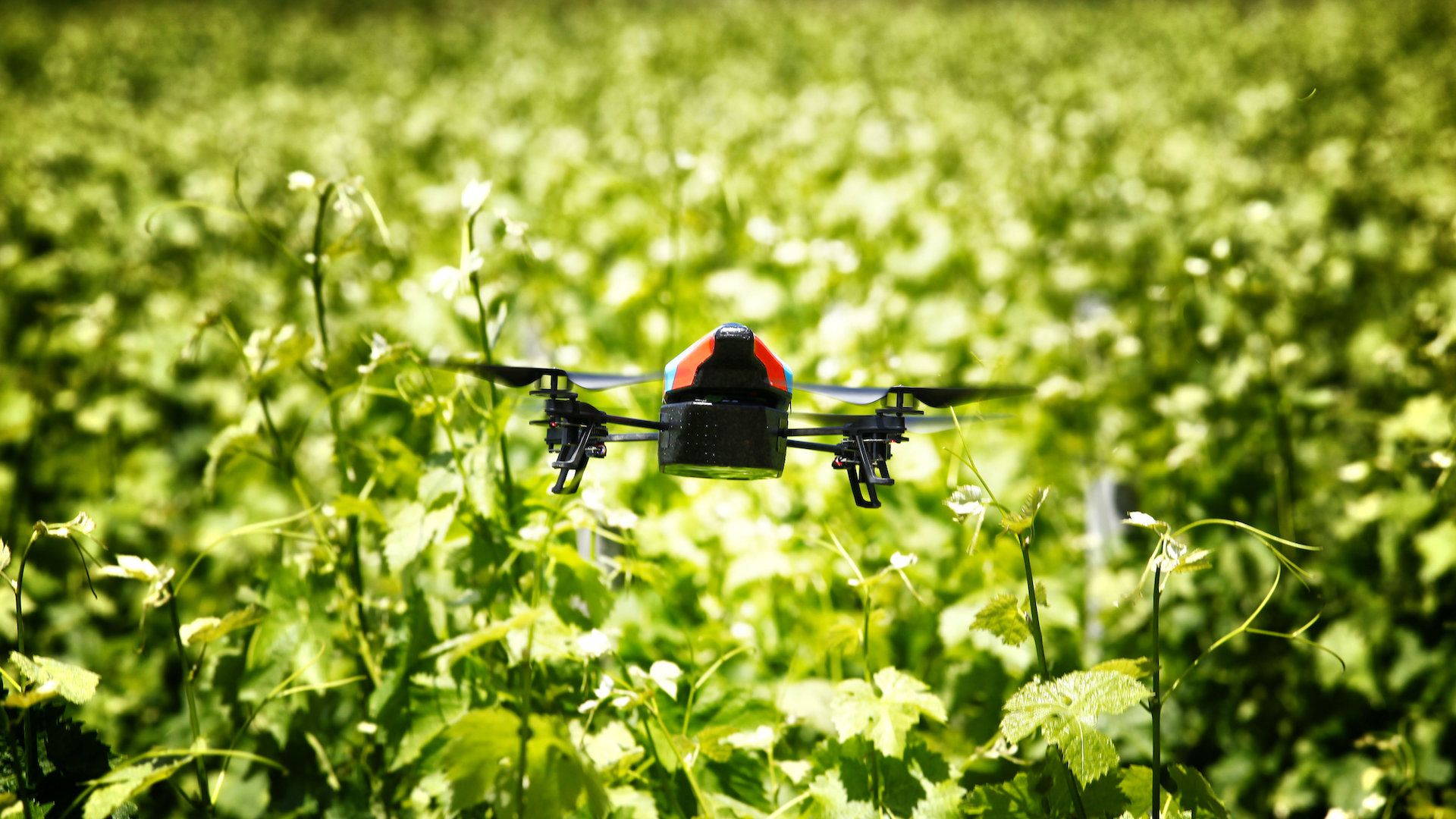 Fort Myers to Use Drones for More Efficient Larvae and Mosquito Detection