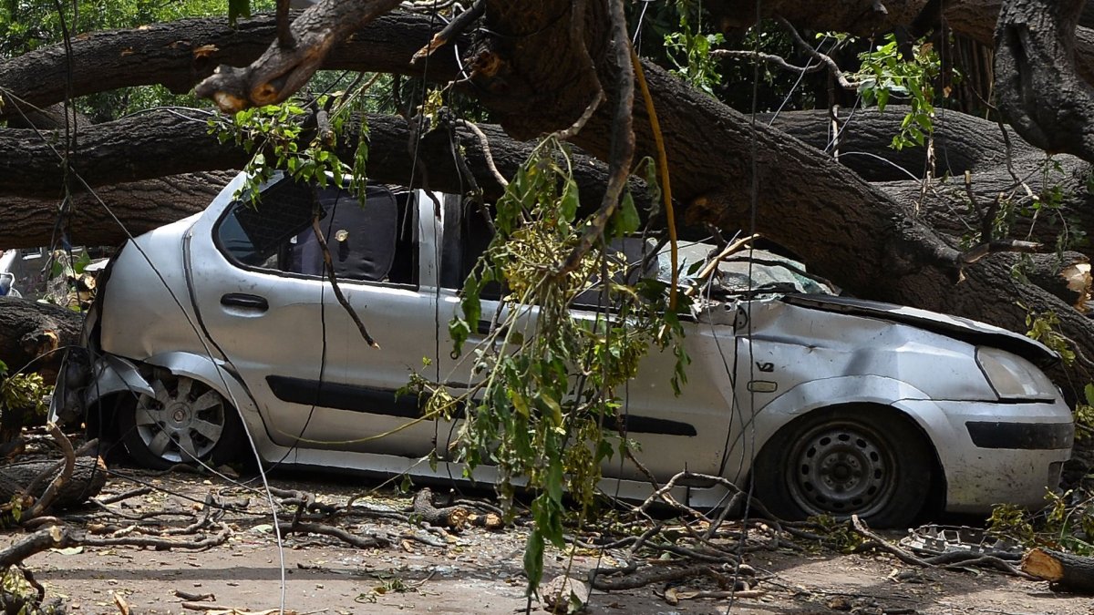 Journalists Killed by Falling Tree in North Carolina Storm