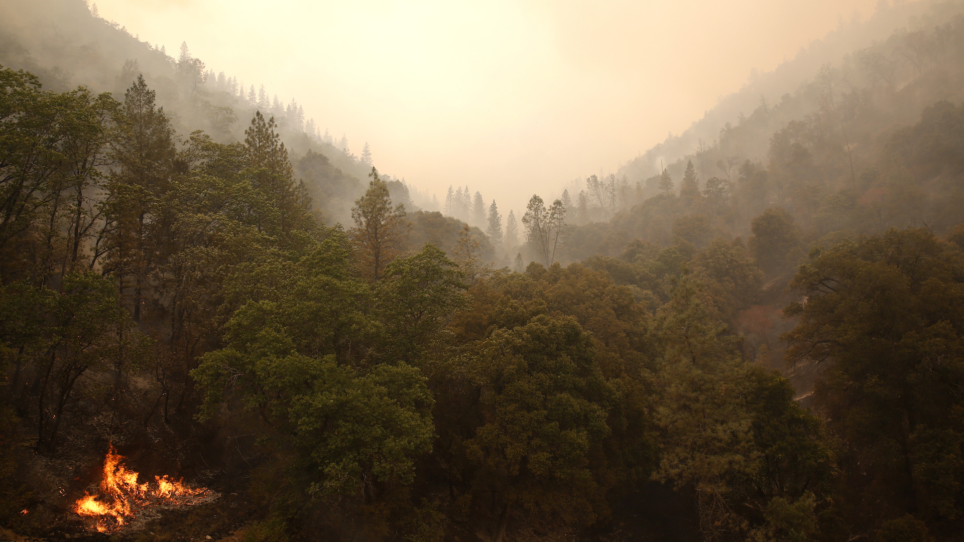 California Air National Guard Drone Helps Combat Disastrous Carr Fire