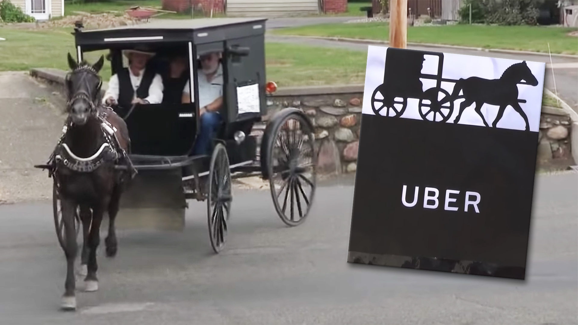 Amish Man Starts Horse-and-Buggy 'Uber' Service in Rural Michigan
