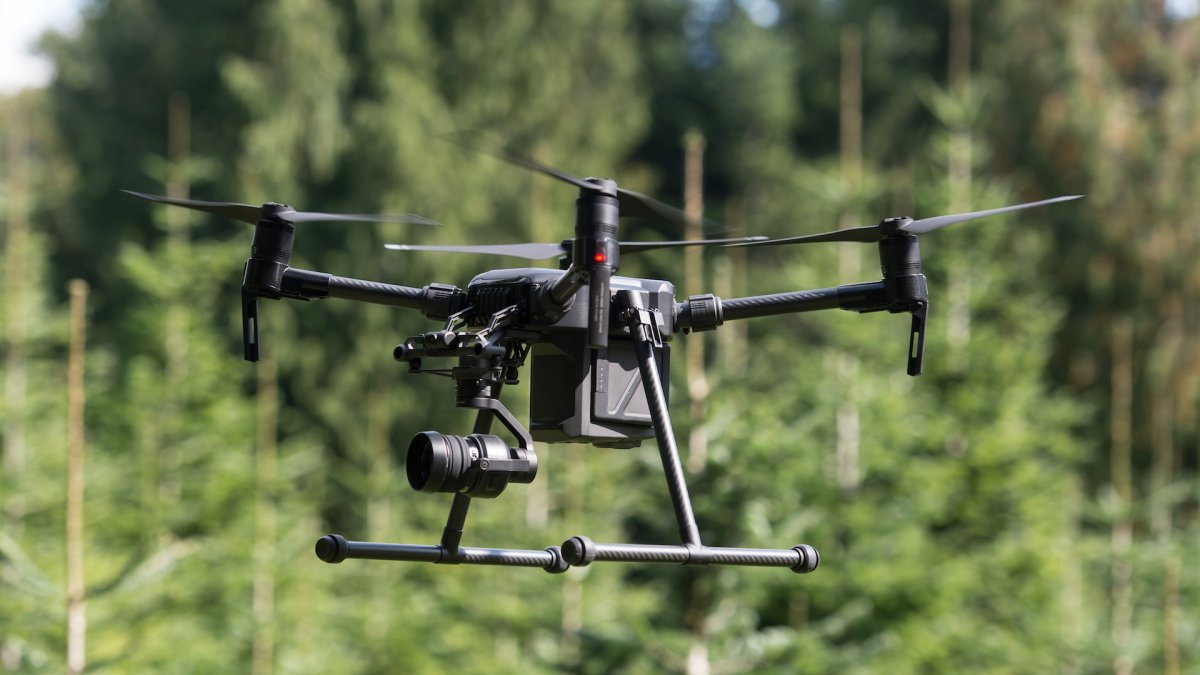 Australian Forestry Company Uses Drone to Spot Koalas Before Cutting ...