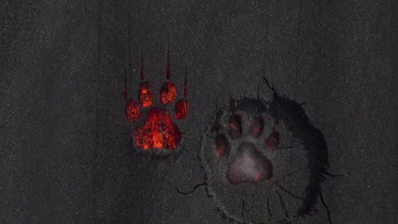 Are Vans the New Trucks?