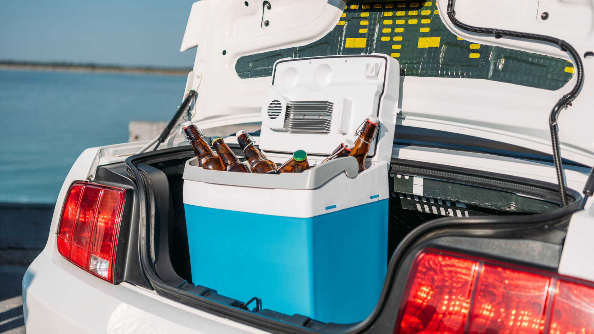 Best 12-Volt Coolers | The Drive