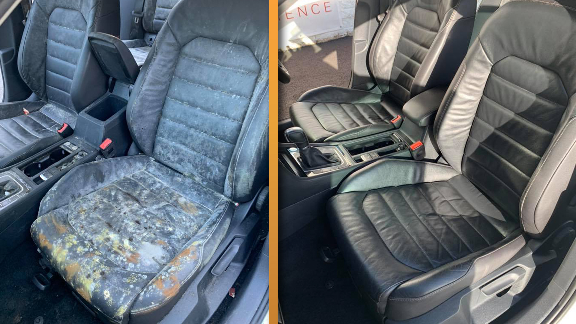 The Immaculate Cleanup of This Once-Disgusting VW Golf Proves Anything ...