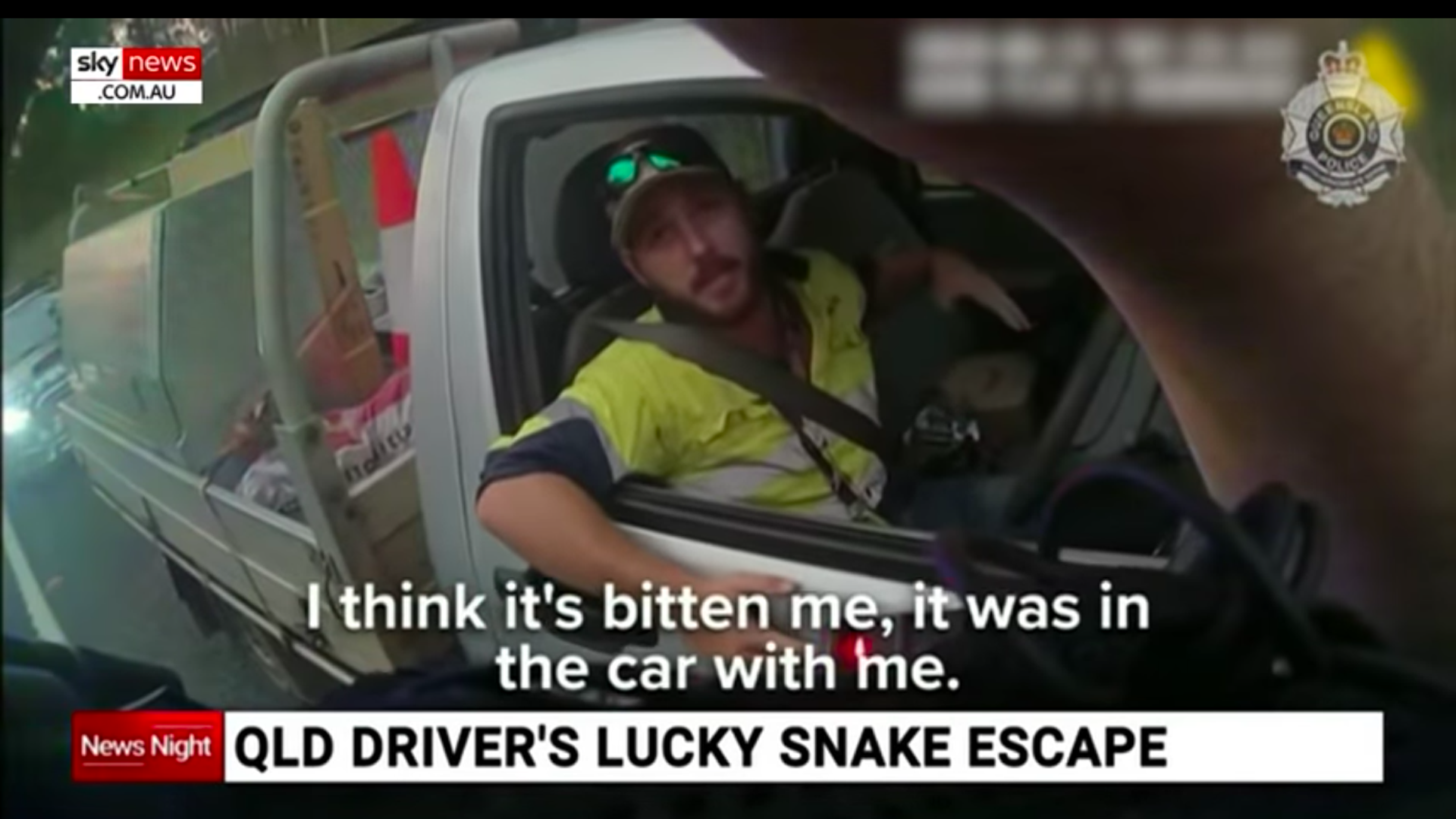 Australian Man Uses Seat Belt and Knife to Kill Deadly Snake While ...
