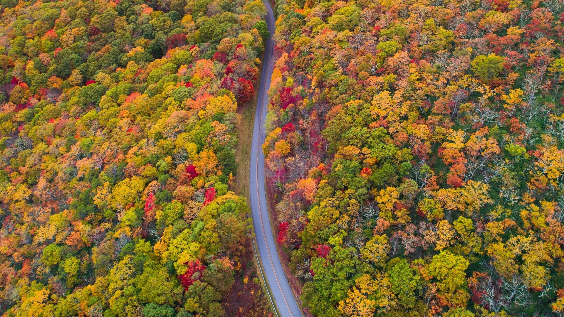 Which Are the Best Routes for Autumn Fall Color Road Trips?