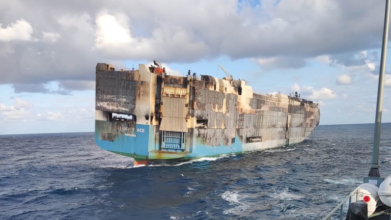 That Flaming Cargo Ship Is Loaded With Nearly 500 EVs, Not 25