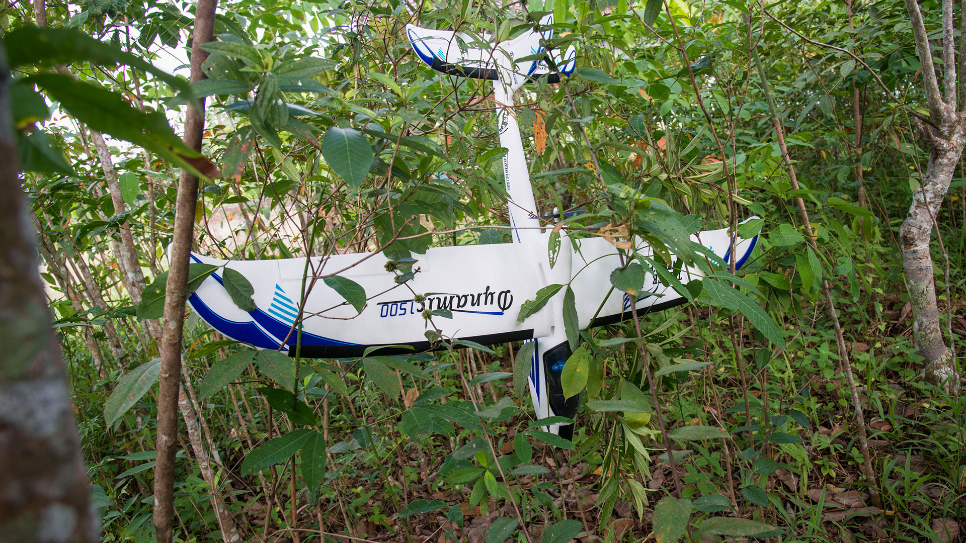 Scientists Are Teaching Robots to Hunt Like Predators