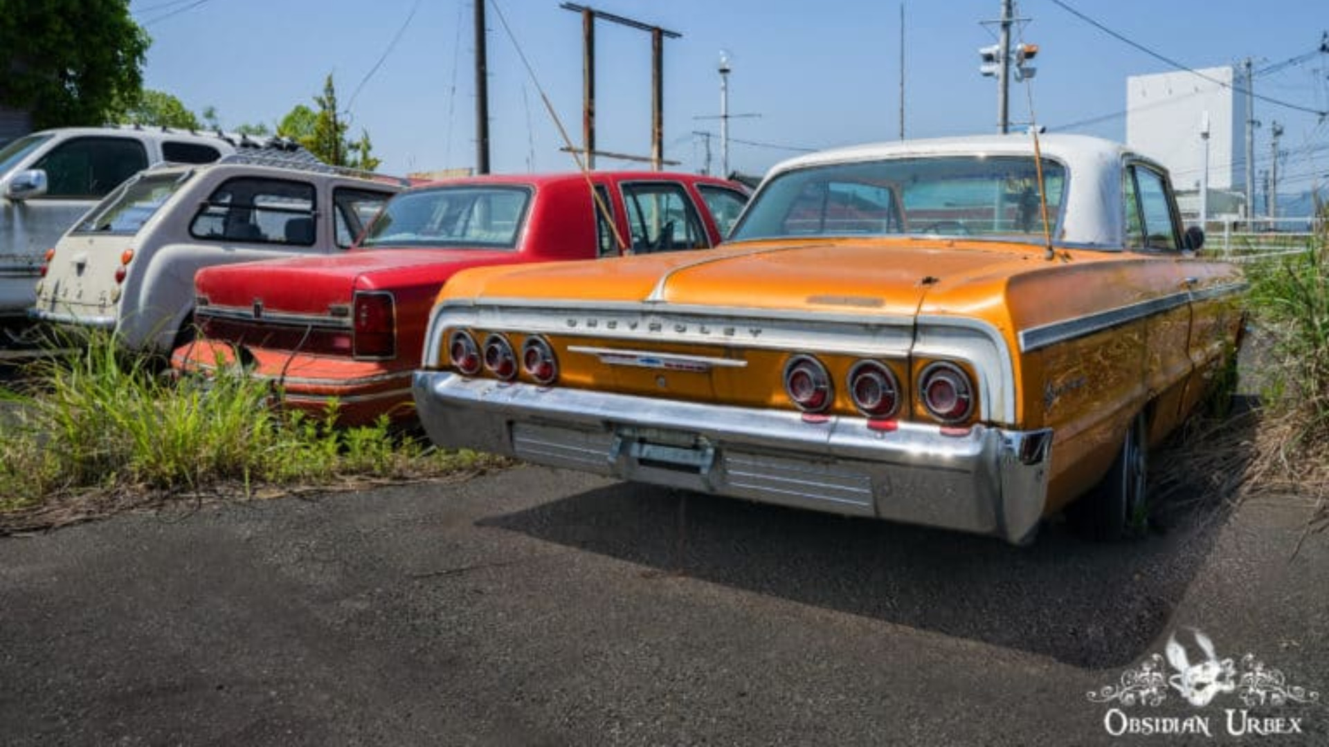 These Classic American Cars in Japan Have Been Parked Since the 2011 ...