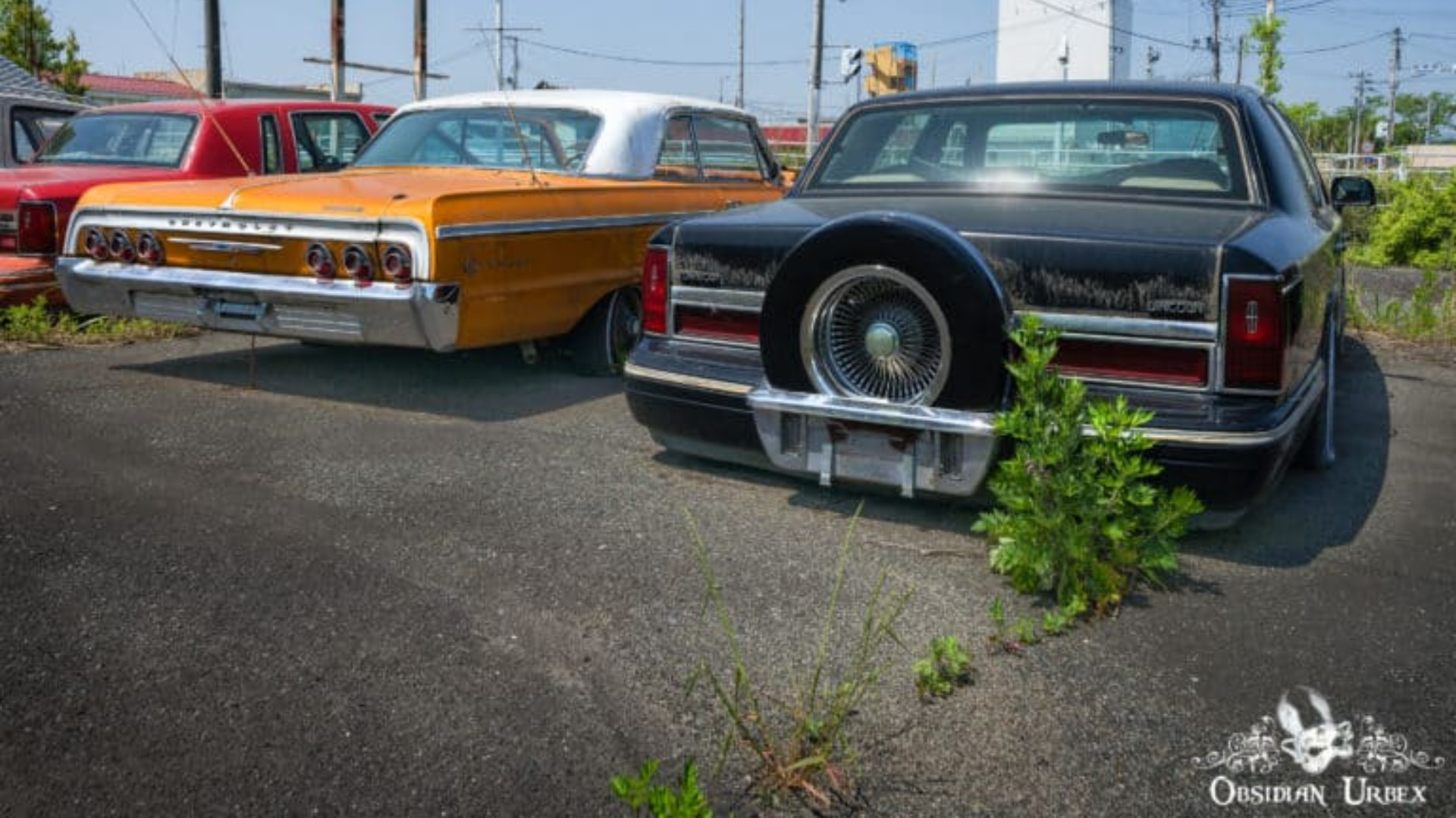 These Classic American Cars in Japan Have Been Parked Since the 2011 ...
