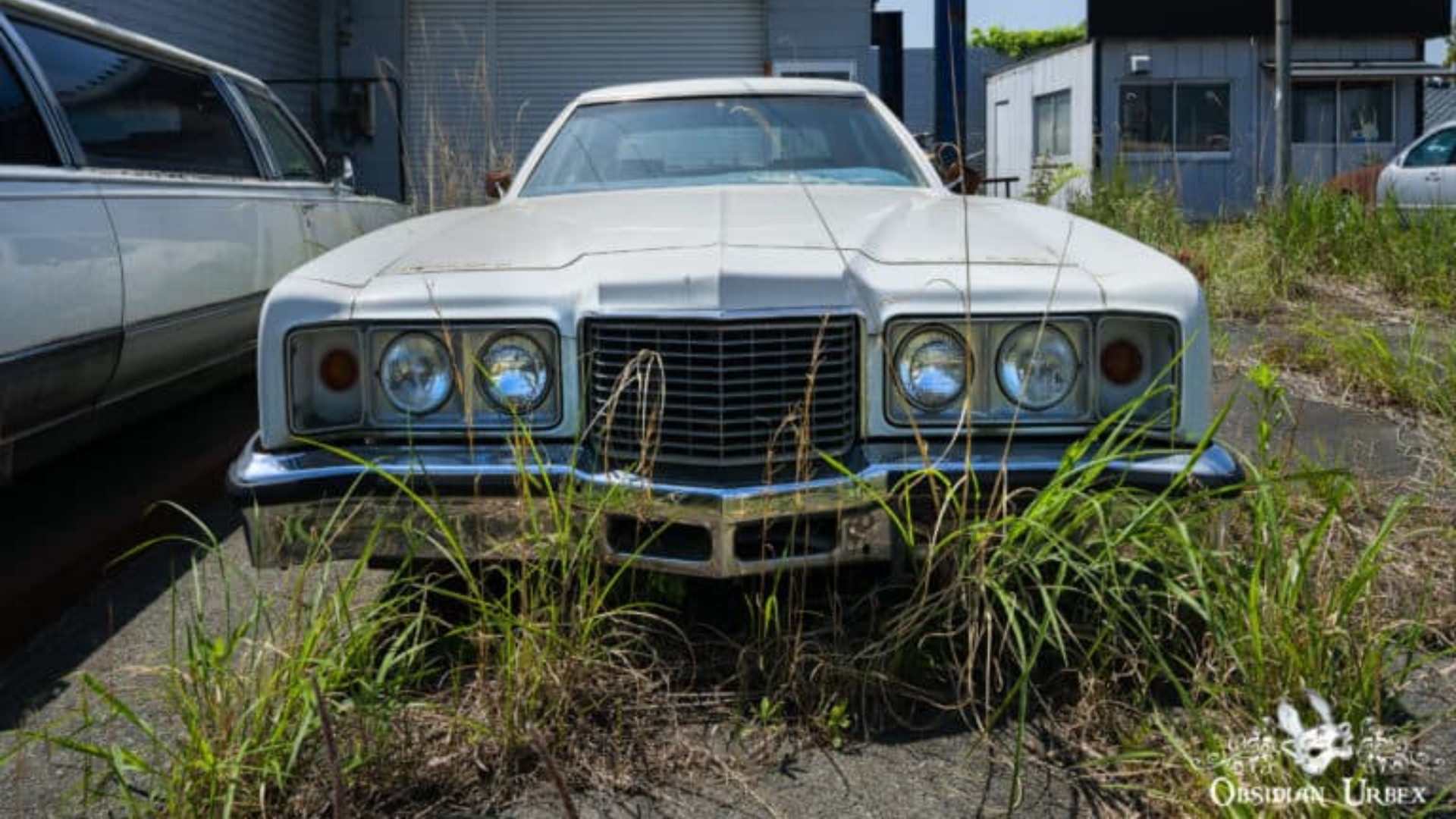 These Classic American Cars in Japan Have Been Parked Since the 2011 ...